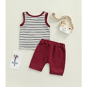Toddler Baby Boy Summer Outfits Shorts Solid Short Sleeve T-Shirt Tops Casual Clothes Set (Brick Red, 18-24 Months)