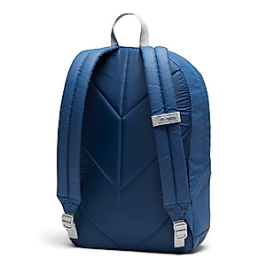 Columbia Unisex PFG Zigzag 22L Backpack, Carbon, One Size