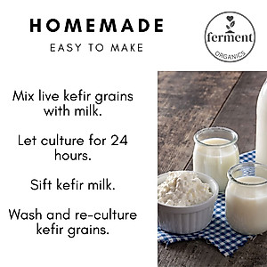 Live Kefir Grains 1 TBSP, Kefir Starter Culture, Rich in Live Active Probiotics, Start your own Kefir Culture at Home, Bulgaros de Leche, Beginners Kit