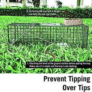 HOMESTEAD Heavy Duty Live Trap - Professional Style One-Door Live Animal Traps for Rabbit, Squirrel, Possum, Skunk, Kitten, Mink