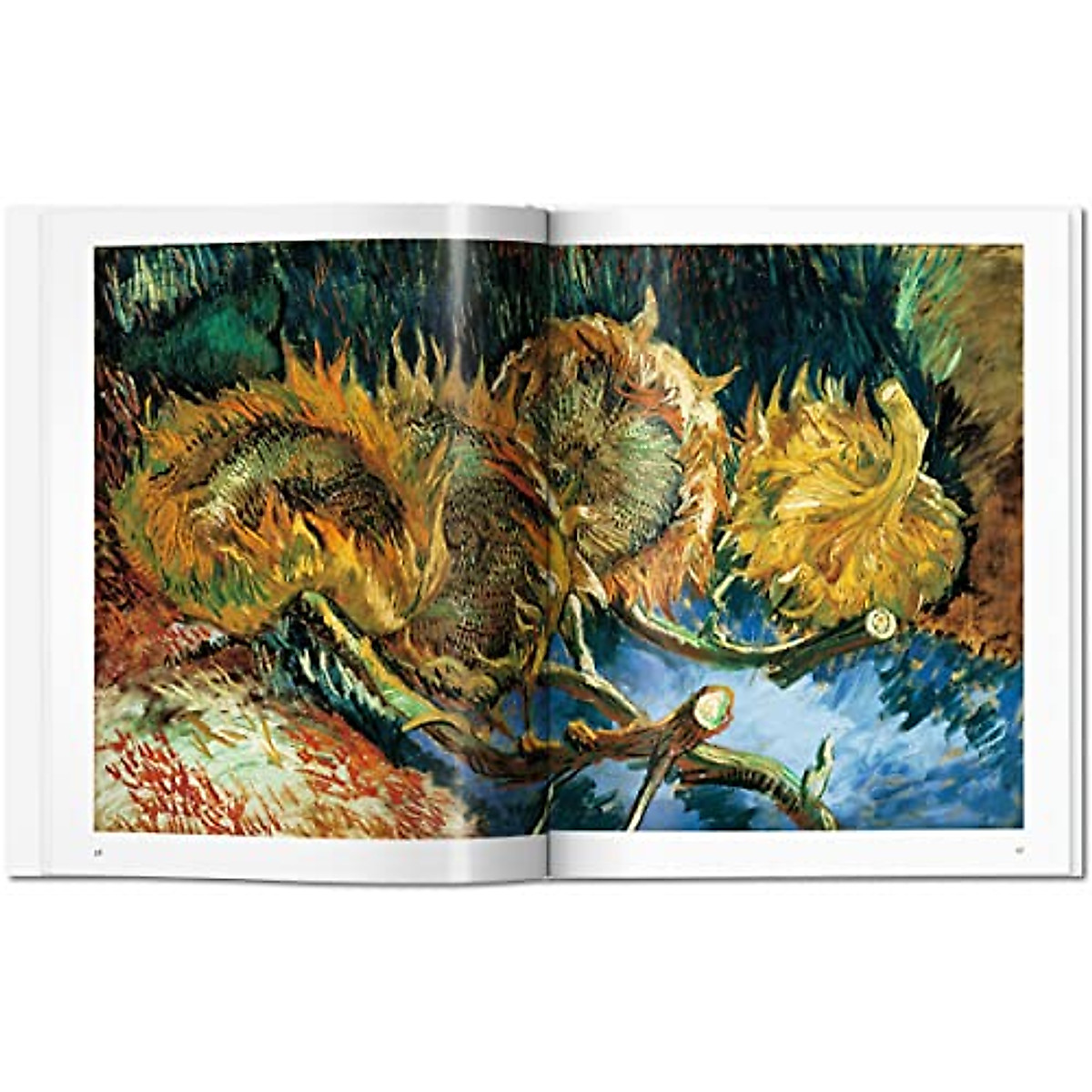 Vincent van Gogh: 1853-1890, Vision and Reality