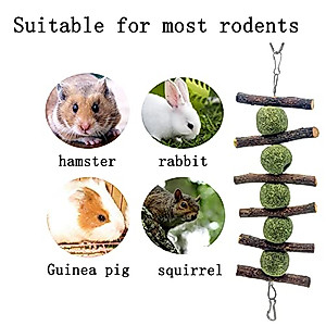 MYYZMY 3 Pcs Bunny Chew Toys, Rabbit Chew Toys for Teeth Grinding, Natural Organic Apple Wood Stick for Improve Rabbits Guinea Pigs Hamsters Dental Health