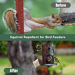 Two Bros. Repellent Squirrel Repellent Outdoor,Chipmunk Repellent Outdoor,Squirrel Repellents Indoor,Squirrel Deterrent,Natural Squirrel Repellent for Bird Feeders/Garden/Attic/Shed -10P, black