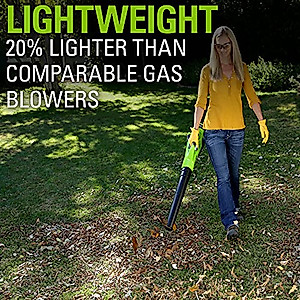 Greenworks 40V (110 MPH / 390 CFM) Cordless Axial Blower, 2.5Ah Battery and Charger Included