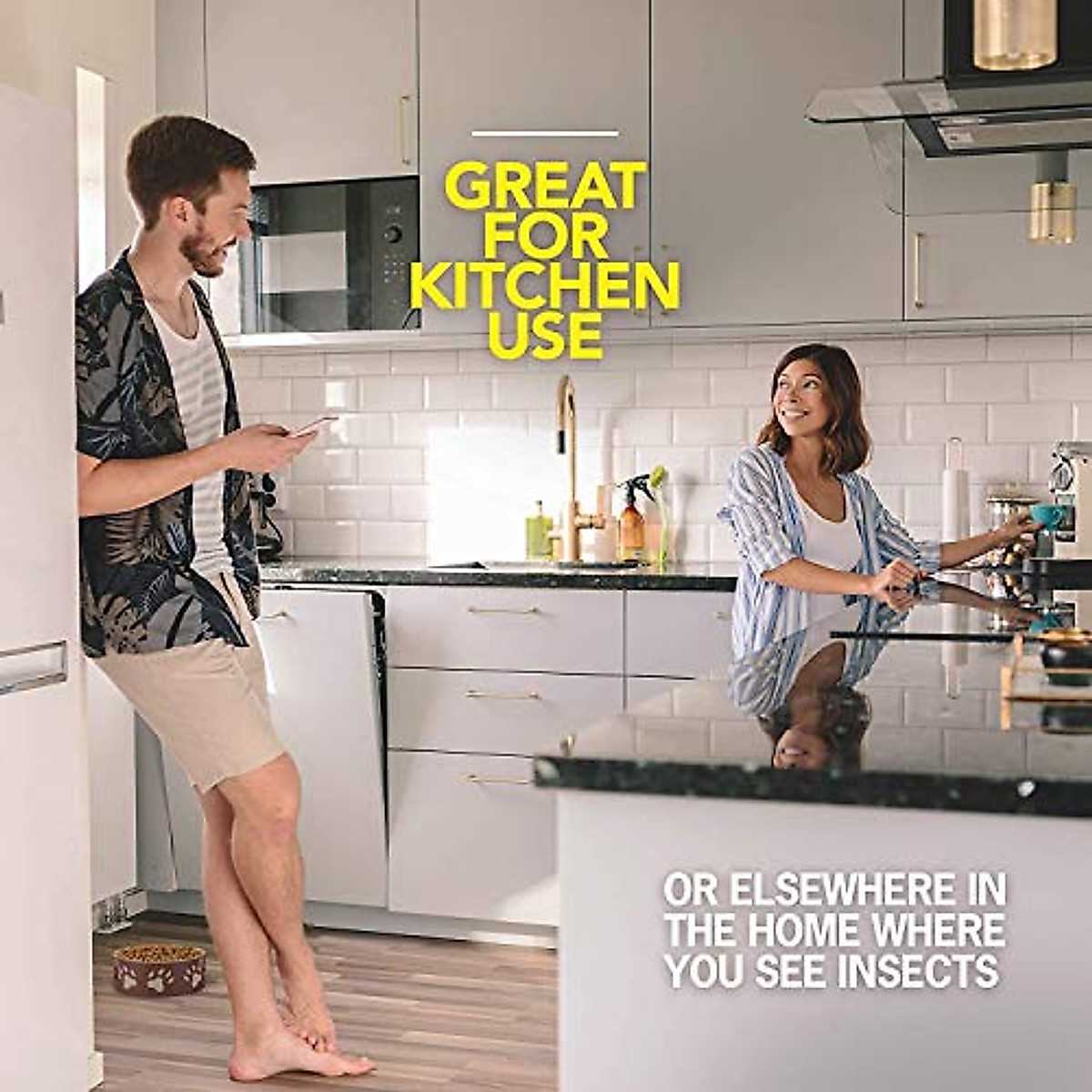 Raid Ant and Roach Killer Aerosol Spray with Essential Oils 11 Ounce (Pack of 2)