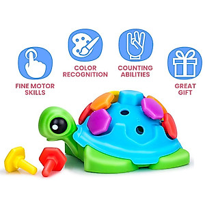 Hexie Turtle Fine Motor Skills Toys - for 2 Year Old | Unique Toy Gift for Toddler, with Numbers and Pegs for Learning and Occupational Therapy | Montessori Toys for Ages 1-3