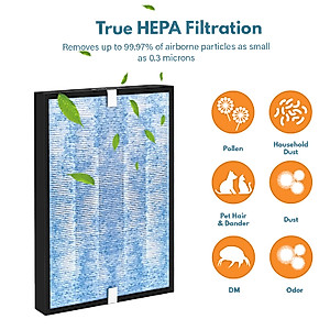 MSA3 True HEPA Filter Replacement Compatible with MSA3/MSA3S Membrane Solutions 3-in-1 Air Cleaner Purifier, 2 Pack