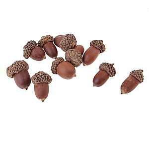 chiwanji 40 Pcs Mini Pine Cones Acorns Dried Flowers Christmas Accents Decor Ornaments