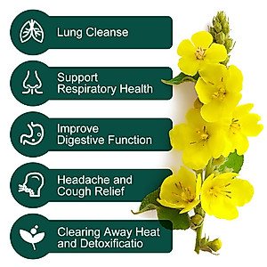 Mullein Leaf Tea Bags - Lungs Cleanse and Respiratory Support, Mullein Herbal Teas, Caffeine Free, 40 Tea Bags