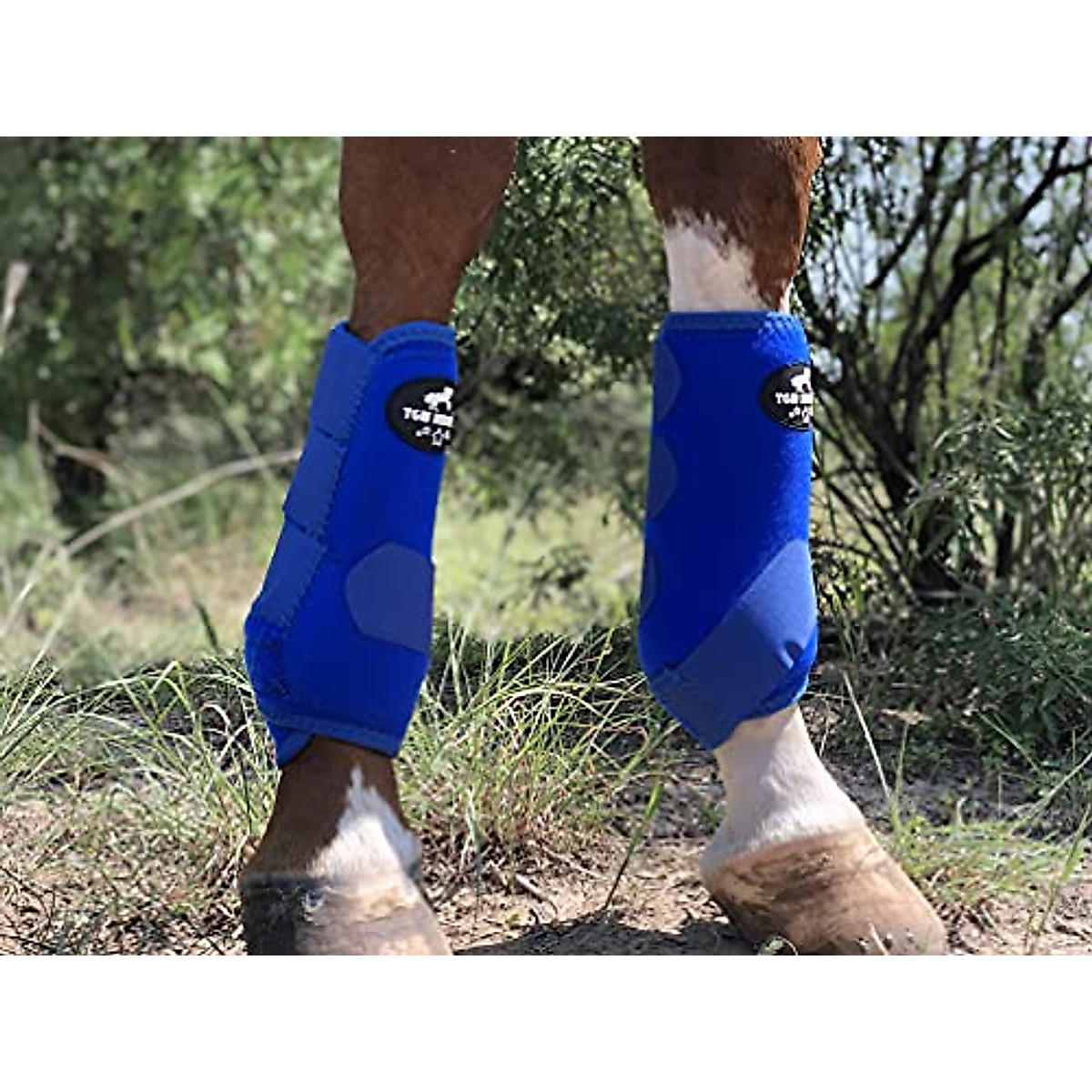 TGW RIDING Equine Sports Medicine Ventech Elite Front Leg Boot, Pair (Royal Blue, M)