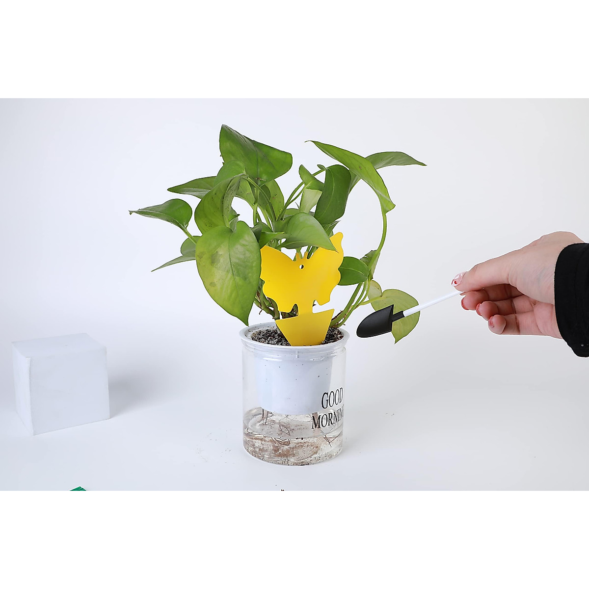 Premium Fruit Fly Traps | Double Sided Gnat Traps | Waterproof Yellow Sticky Traps are Great Outdoors | Also for Fungus Gnats, Aphids, Flies, Moths and Spiders | Pack of 25