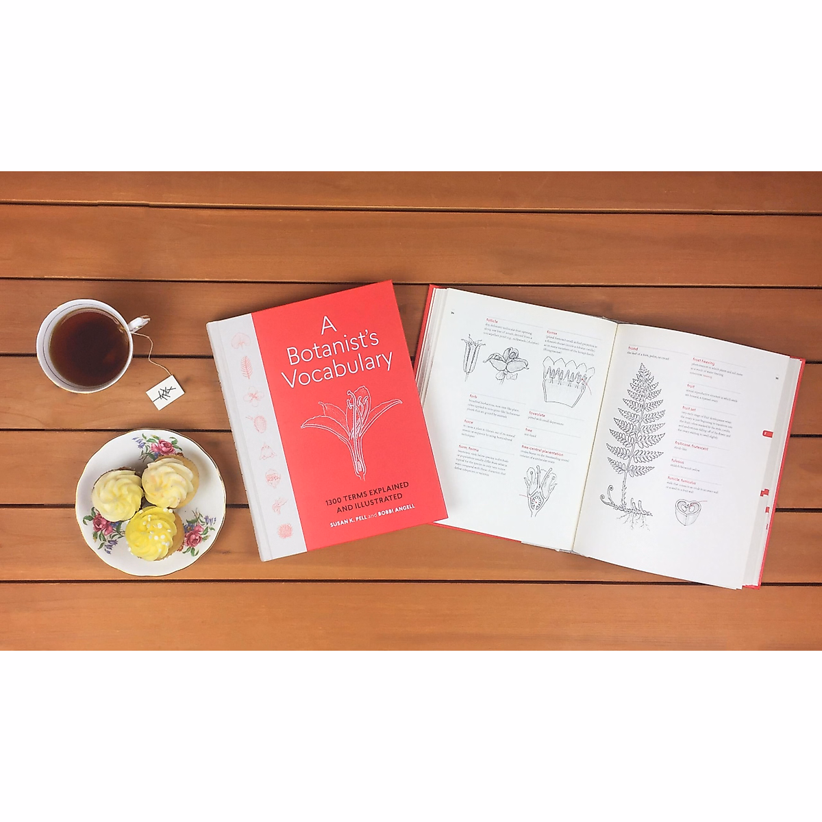 A Botanist's Vocabulary: 1300 Terms Explained and Illustrated (Science for Gardeners)