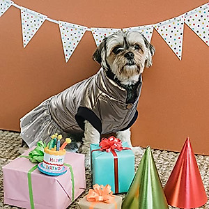 BRKURLEG Small Dog Cold Weather Coats,Gold Winter Doggie Jacket for xs s Medium Dogs Girl,Fleece Cozy Warm Padded Skirt for Puppy Thick Vest Dress,Water Resistant Snowsuit for Chihuahua Poodle Shihtzu