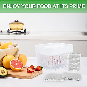 PROKITCHEN Carbon Filter Refills Compatible with OXO Greensaver Produce Keeper & Crisper Inserts, Compatible with Bluapple Produce Saver Balls, Filter Refill Bags, Keep Fresh Packet Refills, 8PCS