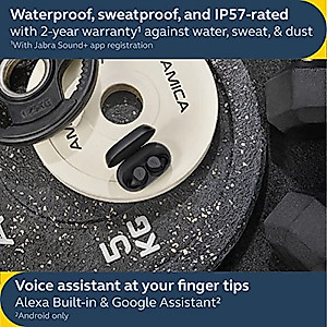 Jabra Elite 7 Active in-Ear Bluetooth Earbuds - True Wireless Sports Ear Buds ShakeGrip for The Ultimate Active fit and Adjustable Active Noise Cancellation - Black