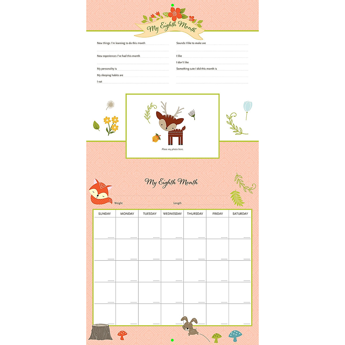 My Life as a Baby: A First-Year Calendar (Woodland Friends)