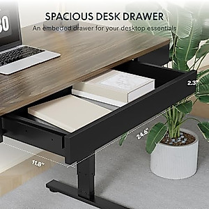 FLEXISPOT Q5 Standing Desk with Drawer, 48 x 24 Inch Electric Adjustable Height Stand Up Desk with Storage Organizer, Whole Piece Wooden Desktop for Home, Office, Computer Workstation, Dark Brown