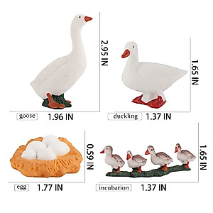 Life Cycle of Duck Figurines Animals Figurines Set Duck Toys Realistic Farm Animals Preschool Animals Figures Eduactional Project Diorama Model Toy for Kids