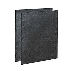 Vornado MD1-0023 Replacement Carbon Filters (2-Pack),Black