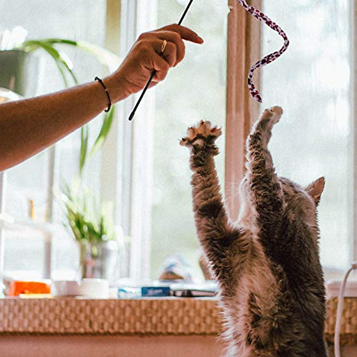 3 Pieces Jungle Cat Wand Cat Teaser Charmer Interactive Cat Toys Wand Fun Cat Kitten Kitty Playing Toy, 3 Styles (Classic Color)