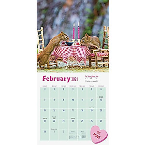 The Secret Life of Squirrels Wall Calendar 2021