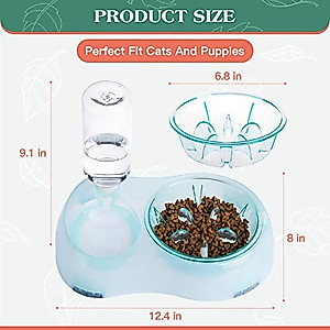BINGPET Small Dog Bowls - Water and Food Bowl for Cat Dog - Slow Feeder Pet Bowl, Automatic Water Dispenser Detachable Feeder Bowls for Puppies and Cats