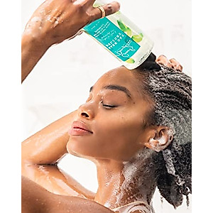 Carol’s Daughter Wash Day Delight Love at First To Foam Sulfate Free Shampoo with Aloe and Micellar Water, Paraben Free, Silicone Free, Micellar Shampoo for Kinky, Curly Hair, 16.9 fl oz