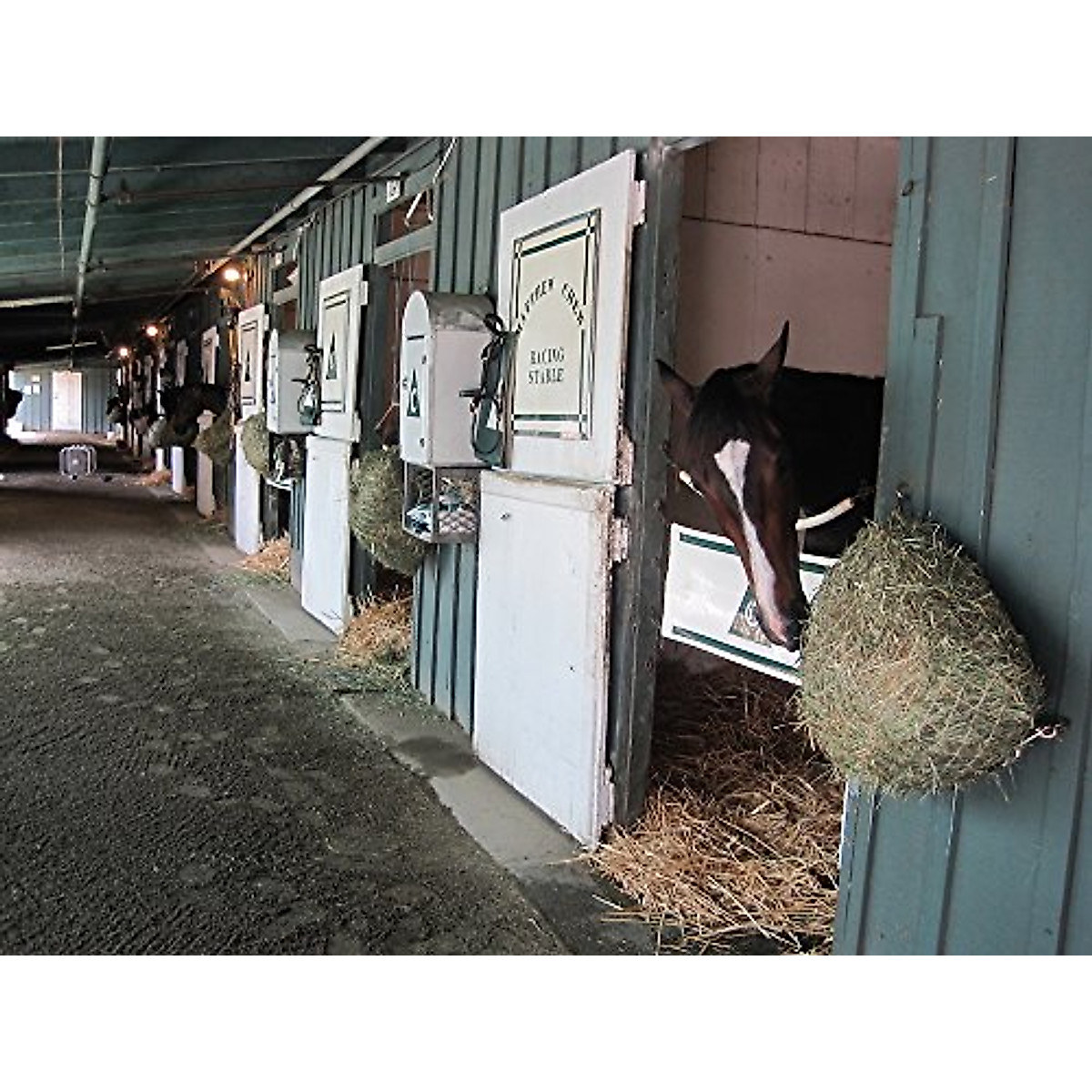 Freedom Feeder Mesh Net Full Day Slow Horse Feeder — Designed to Hold 30 lbs/4 Flakes of Hay and Feed Horse All Day — Reduces Horse Feeding Anxiety and Behavioral Issues