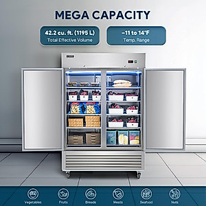 WILPREP Commercial Freezer ETL-Listed, 54" 2 Solid Door 2 Section Freezer with 42.2 cu. ft. Capacity, Stainless Steel Reach in Freezer with Air Cooling