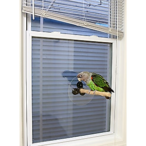 Window NU Perch for Small to Medium Parrots