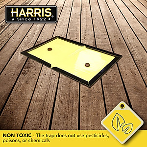 Harris Snake Glue Trap, Super Sized for Snakes, Rats, Mice and Insects (1-Pack)