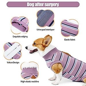 Coppthinktu Dog Recovery Suit Dog Surgery Recovery Suit Female, Dog Onesies Dog Surgical Recovery Suit for Small Medium Large Dogs, Pet Recovery Shirt Post Spay Abdominal Wounds (XX-Large)