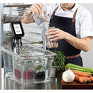 Sage Polyscience HydroPro™ Sous Vide Immersion Circulator, Stainless, 240V
