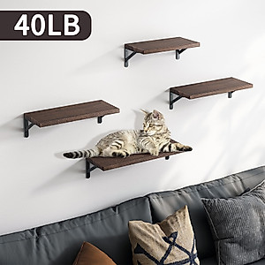 YGEOMER Floating Shelves, Dark Carbonized Black, 4 Sets of Wall Mounted Shelf for Bathroom Decor, Floating Book Shelves for Wall, Bedroom, Living Room or Kitchen