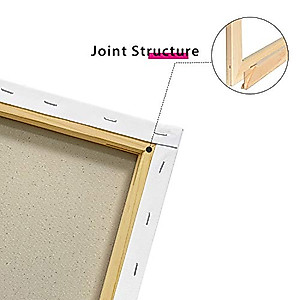 PHOENIX Stretched Canvas for Painting 8x10 Inch/10 Value Pack, 8 Oz Triple Primed 5/8 Inch Profile 100% Cotton White Blank Canvas, Artist Framed Canvas for Oil Acrylic & Pouring Art