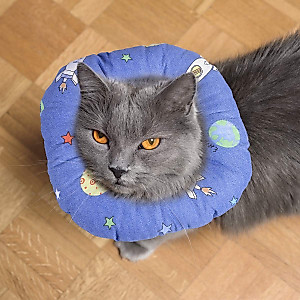 Cat Kitten Elizabeth Collar, Recovery Cone with Adjustable Soft Edge, Pet Headgear for -Bite Lick, Wound Healing Protection - Size M