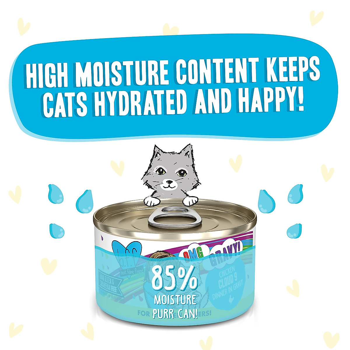 Weruva B.F.F. OMG - Best Feline Friend Oh My Gravy!, Chicken Cloud 9 with Chicken in Gravy, 2.8oz Can (Pack of 12)