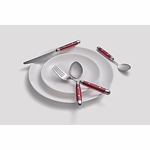 Cambridge 07216CBWD32R Jubilee Red 16-Piece Flatware Set, Thick Handles