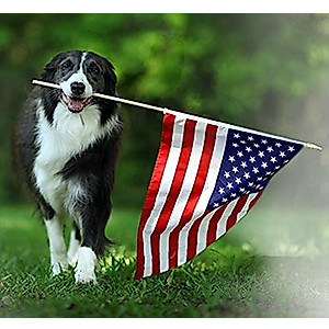 I LOVE MY PETS LLC Hip and Joint Supplements for Senior Dogs - Dog Hip and Joint Support - MAX Strength Formula Chews - Dog msm glucosamine - 120 Treats (1 Bottle)