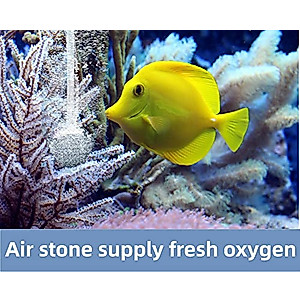 Solar Aerator Air Pump/Oxygenator for Fish Tank and Pond, 2.5w, No Noise Design with Oxygen Pipe and 3 Air Bubble Stones, Oxygen Supply for Various Tanks/Pond/Aquarium/Gardening Water Circulation