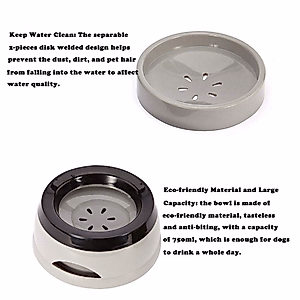 Love Dream No Spill Dog Water Bowl, No Drip Slow Water Feeder Dog Bowl No Slip Vehicle Carried Pet Water Dispenser 25 oz with Floating Disk Slow Drinking Bowl for Dogs Cats (Pink)