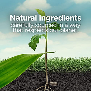 Botanica by Air Wick Plug in Scented Oil Starter Kit, 2 Warmers + 6 Refills, Fresh Pineapple and Tunisian Rosemary, Air Freshener, Eco Friendly, Essential Oils