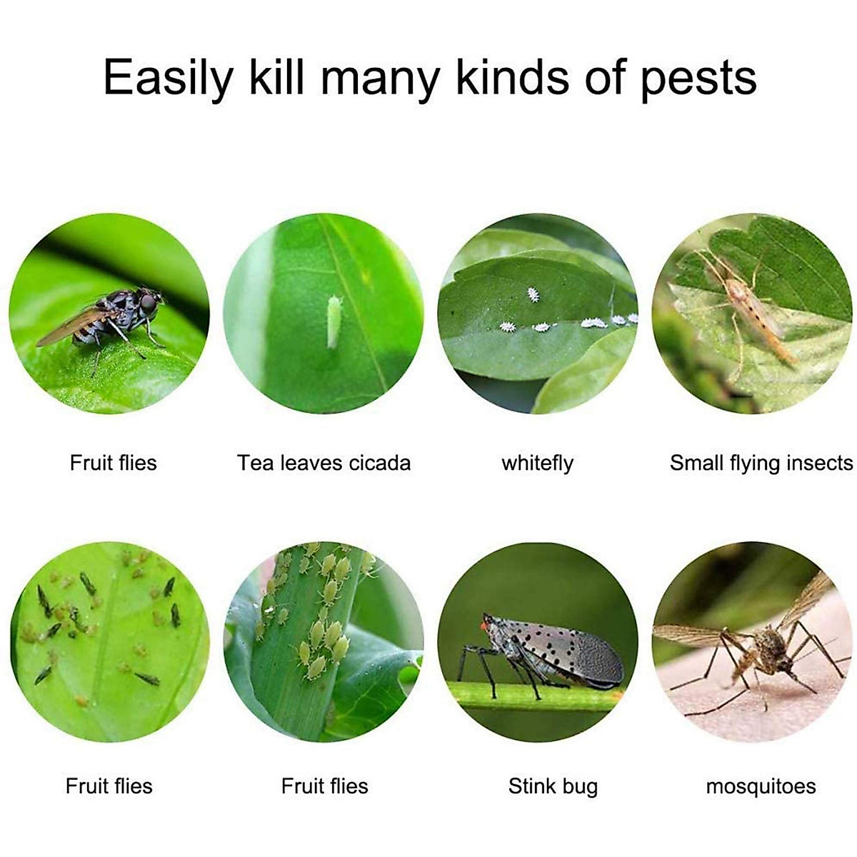 Faicuk Yellow Dual-Sided Sticky Fly Traps for Plant Insect Like Aphids, Fungus Gnats, Leaf Miners and White Flies (10 Pack)