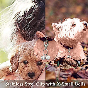 IVIA PET 4 Sets Cat Bell for Dog Collar Charm Training Pet Pendant Accessories with 2 Pack Stainless Steel Dog Tag Clips(2 X-Small Silver)