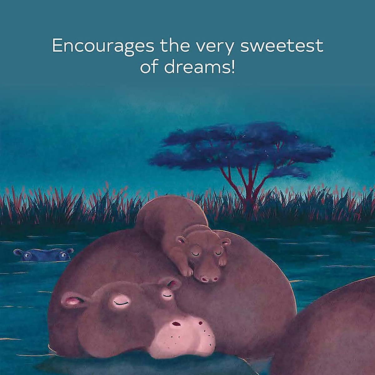 Where the Wee Ones Go: A Bedtime Wish for Endangered Animals