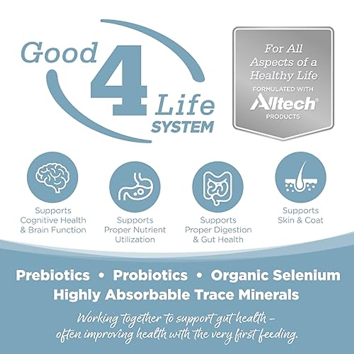 NutriSource Element Series Dog Food, Made with Haddock, Trout and Duck, with Heirloom Grains, 4LB, Dry Dog Food