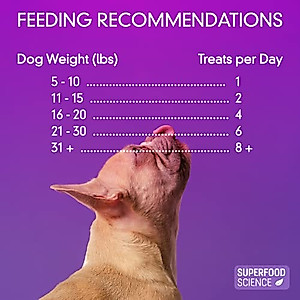 Superfood Science All Natural Organic Turkey Dog Treats with Healthy Human Grade Ingredients, Made in USA, Gluten-Free Training & Rewarding Snacks for Small, Medium, and Large Dogs, 5 Oz, Mini Sticks