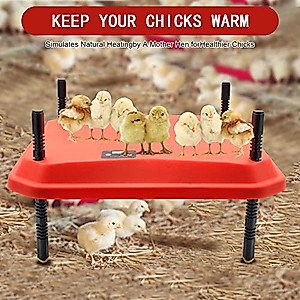 GIFANK Chicken Brooder Heating Plate for Chicks and Ducklings 16” x 16” Temperature Adjustable LED Display Adjustable Height,Safer Than Brooder Lamps Heater,Keeps Up to 30 Chicks Warm,42W