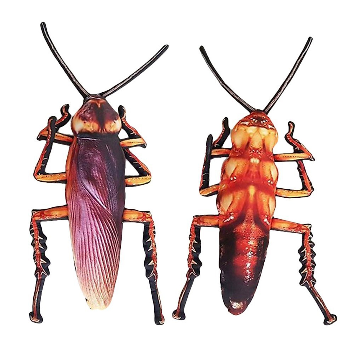 Creative Cockroach Plush Pillow 3D Animal Insect Stuffed Throw Pillow Funny Home Sofa Car Decoration Play Toy Doll Unique Birthday Gift (55 CM=21.5 in)