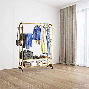 DSIOHFEI Metal Garment Rack Clothing Hanging Rack Free Standing Clothing Hanger with Top Rod,Lower Storage Shelves for Home Bedroom Laundry (Golden)